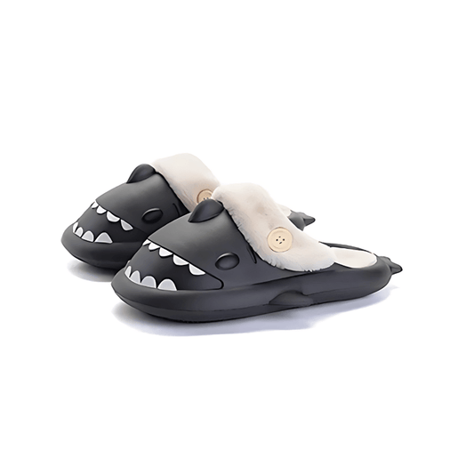 CloudySharks™ - India's First Shark Slides – CloudySharks™ - India's ...