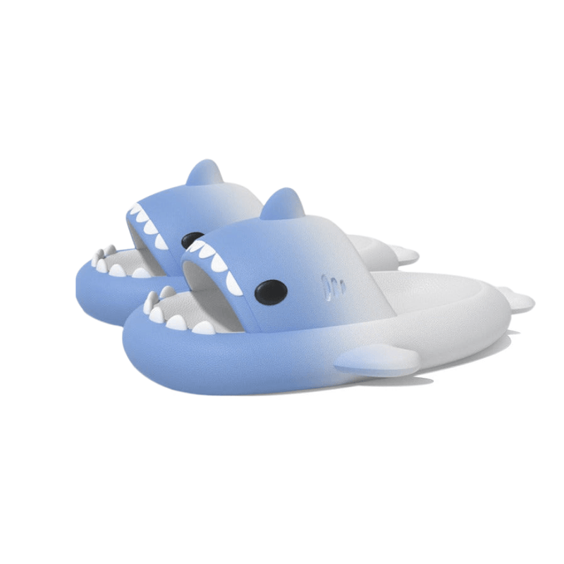 CloudySharks™ - India's First Shark Slides