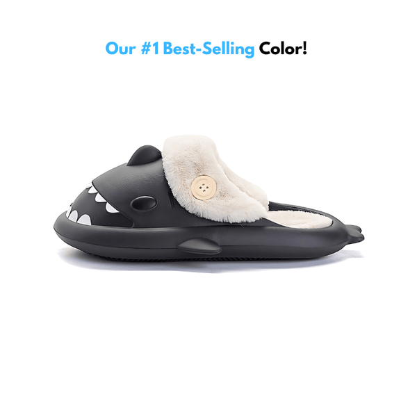 CloudySharks™ - India's First Shark Slides