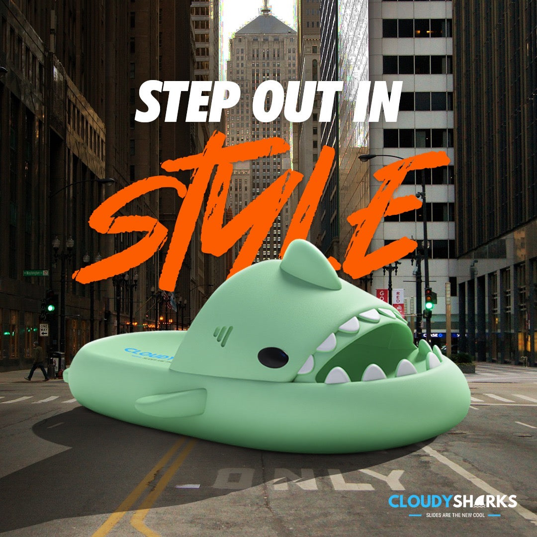 CloudySharks™ - India's First Shark Slides – CloudySharks™ - India's ...